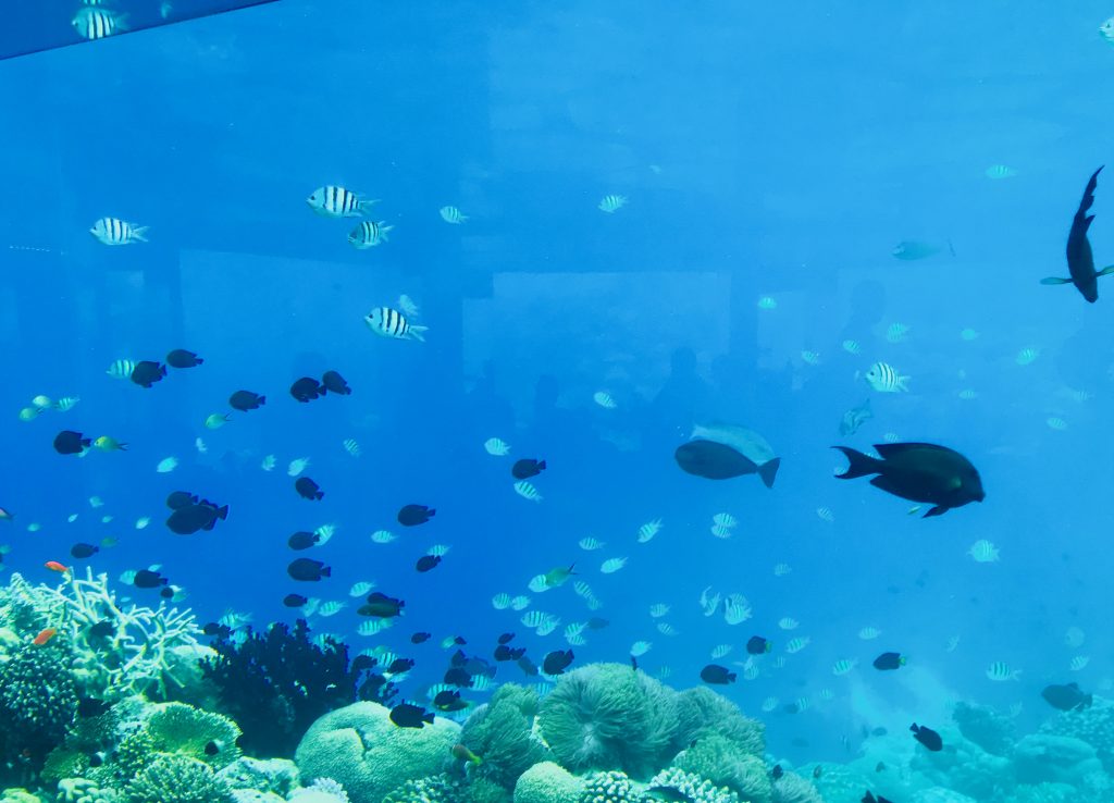 Auf Tauchstation - Wellness Alarm